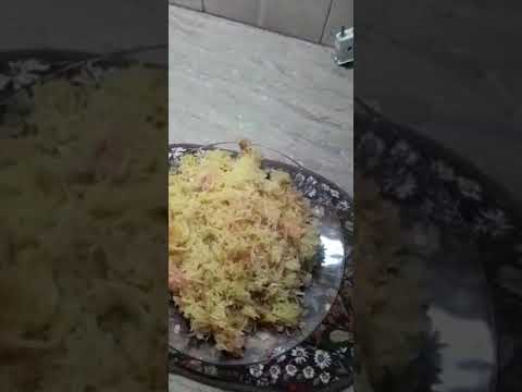 Zarda Final Look