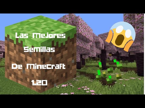 Las Mejores Semillas De #minecraft 1.20 😱 - YouTube