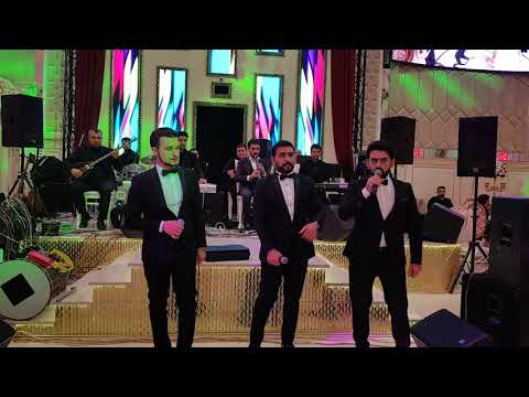 Xəyal Əliyev, Musa Əliyaroğlu, İlkin Məmmədov & M Trio, Xəzər Səfərov, Senator Music Band