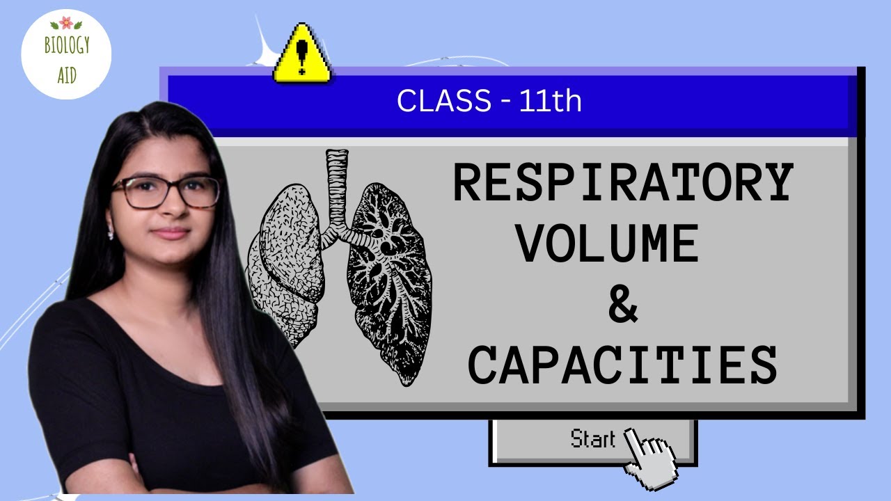 CLASS - 11 || RESPIRATORY VOLUME AND CAPACITIES - YouTube