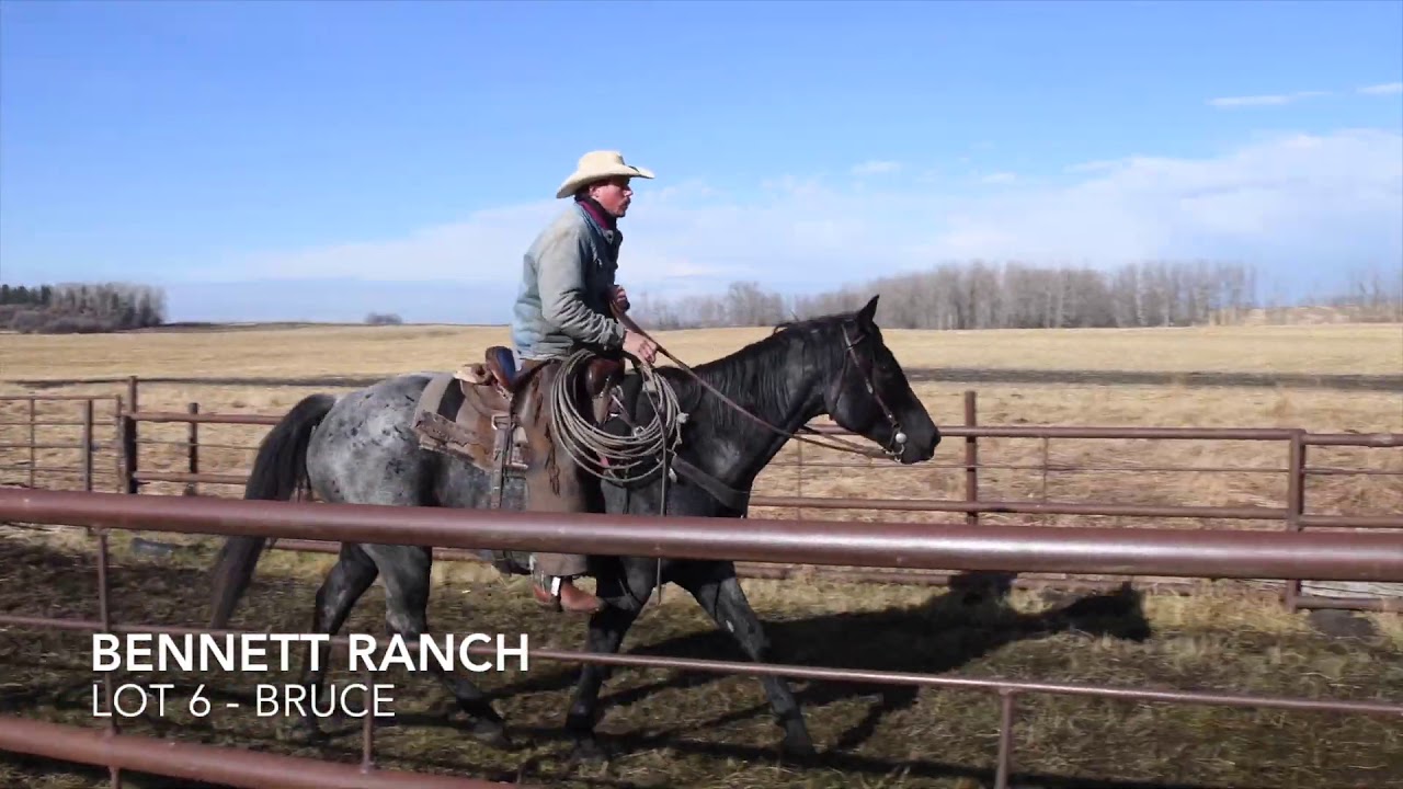 Lot 06 Bennett Ranch 2020 - YouTube