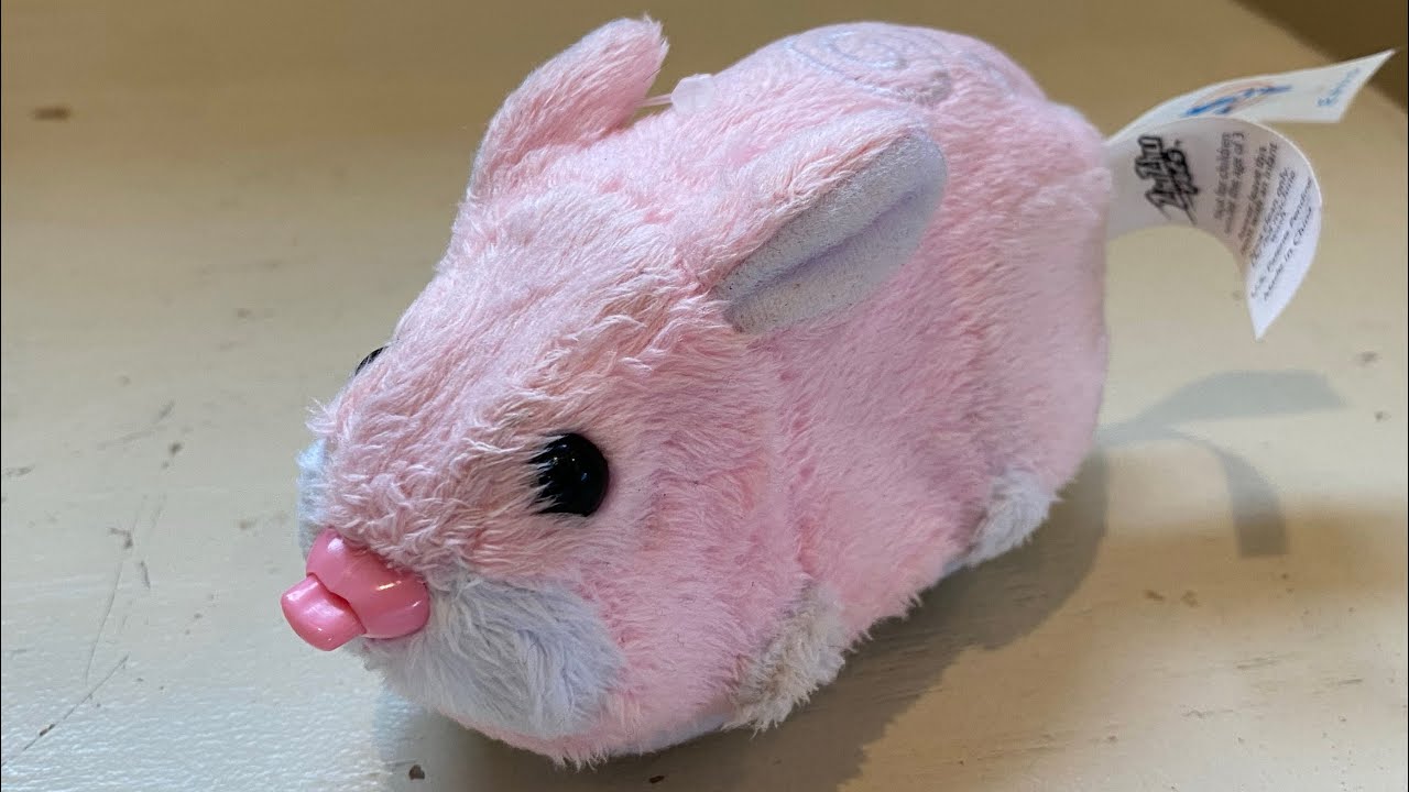 Zhu Zhu Pets - Zhu Zhu Wild Bunch - Sweetie - YouTube
