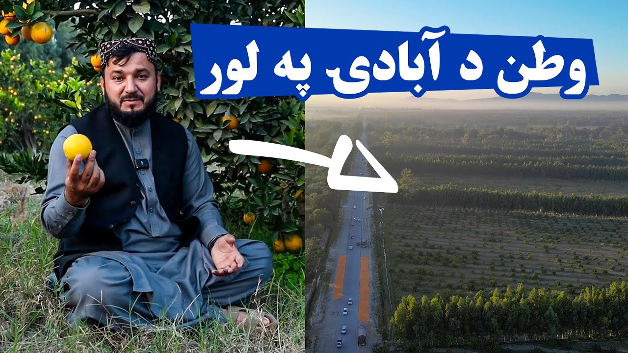 د ننګرهار مالتو باغونه وطن د آبادۍ په لور Youtube