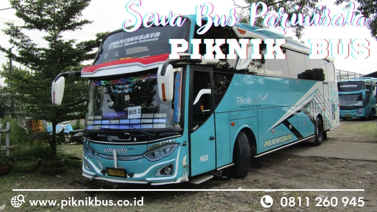 BUS PARIWISATA JAKARTA TERBAIK 2024 - PIKNIK BUS - YouTube