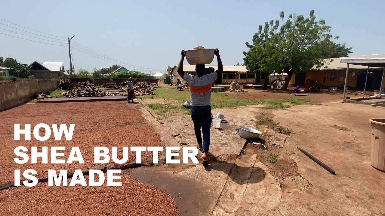 HOW SHEA BUTTER IS MADE IN GHANA || NORTHERN REGION - YouTube