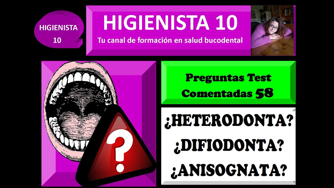 Características de la dentición humana: HETERODONTA, DIFIODONTA Y ...