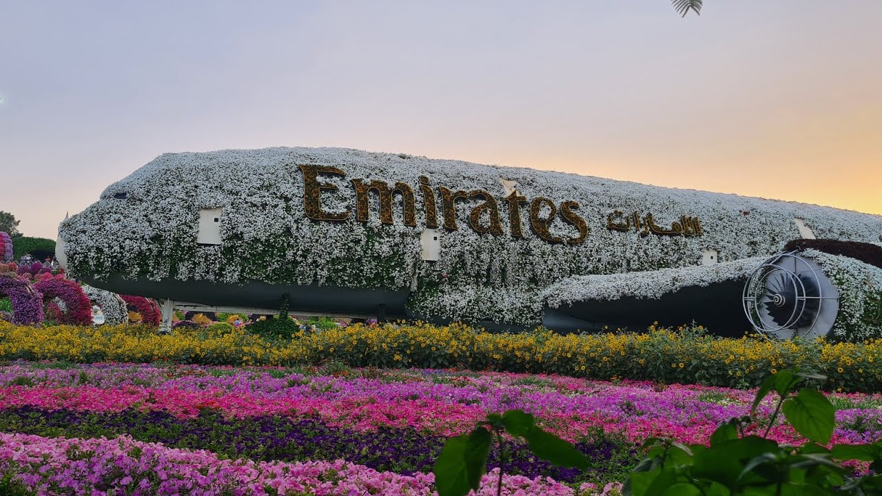 Blossoms of Wonder: The Dubai Miracle Garden - YouTube