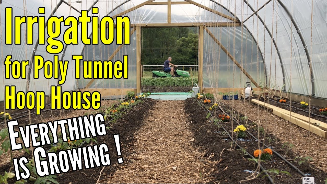 Irrigation for Poly Tunnel Hoop House | Everything is Growing - YouTube