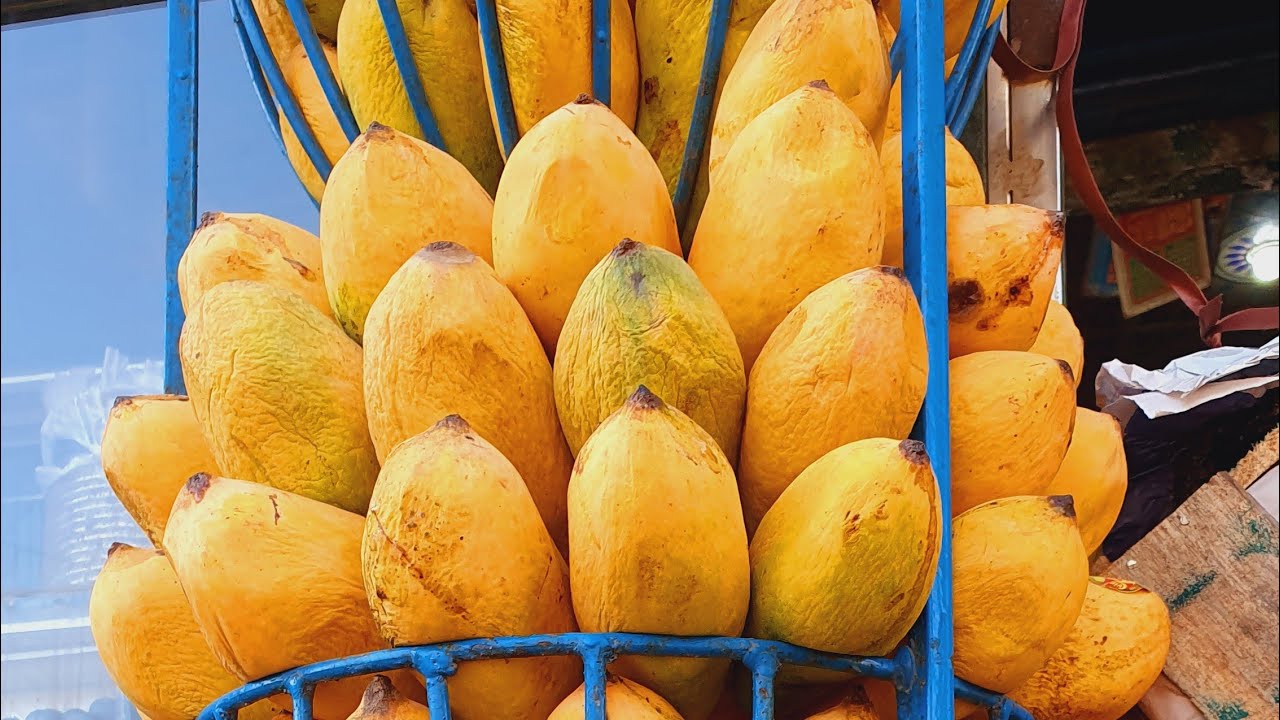 Pakistan good season on peak | saroli mango as sweet as honey | daily ...