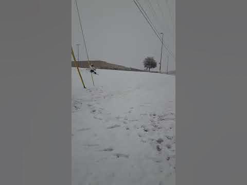Best Texas Snow Day Ever #3 - YouTube