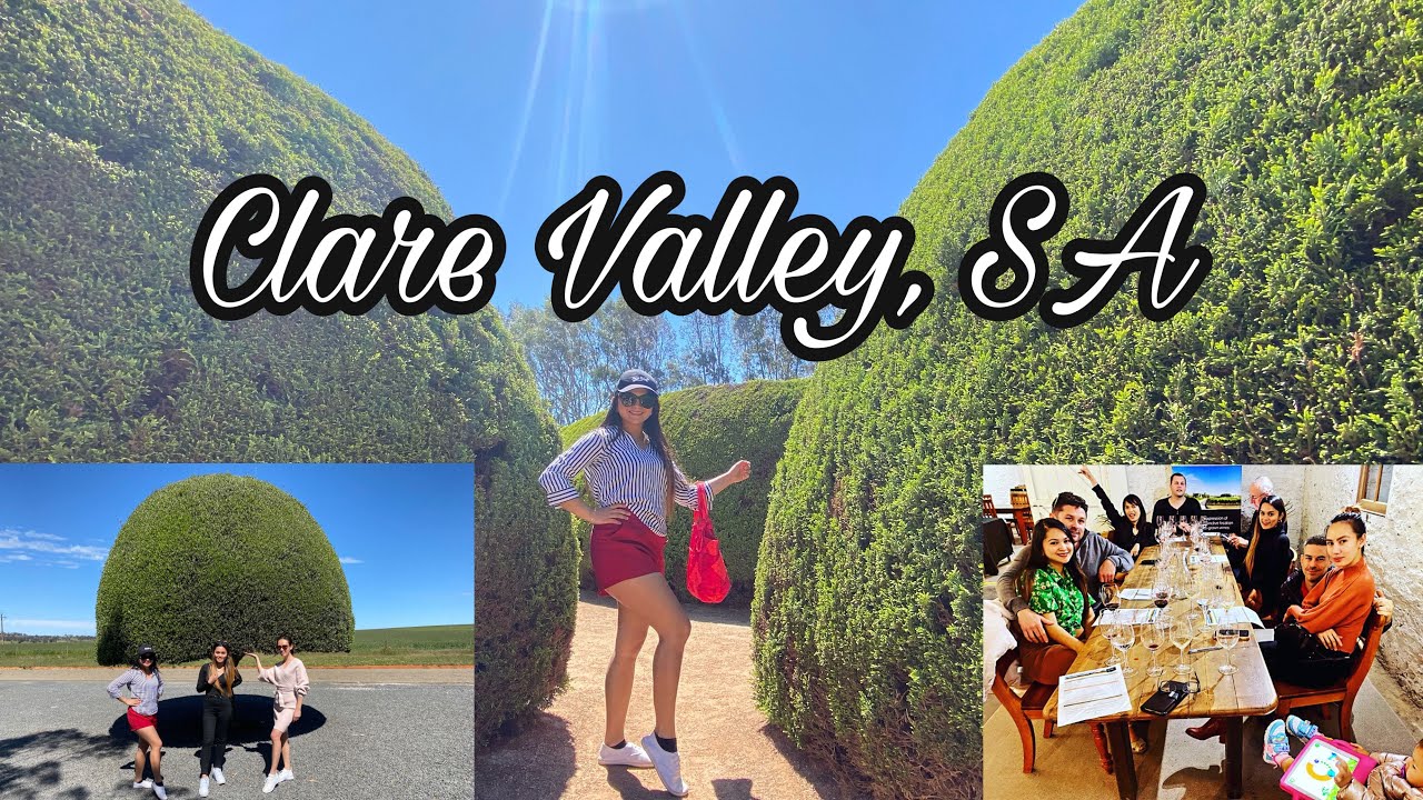 CLARE VALLEY |MINTARO MAZE| OLIVE BUS| WINE TASTING 🍷 |RUBY WONDERS 💛 ...