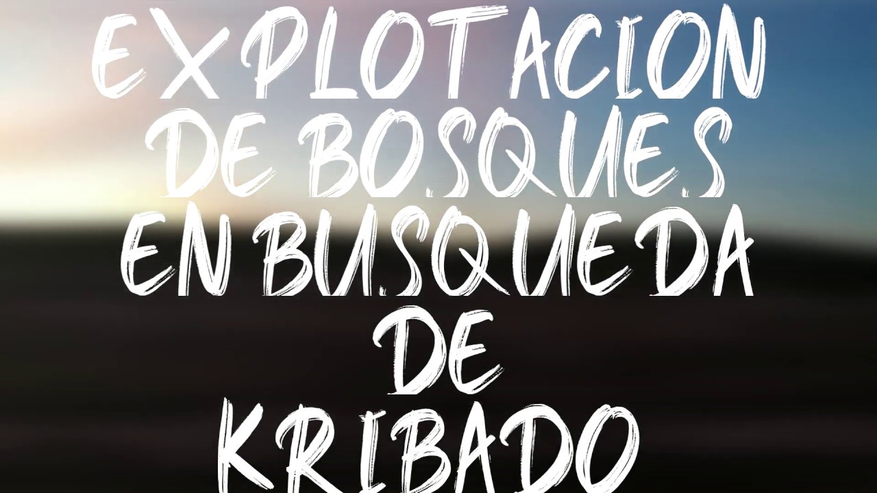 Explotación de bosques en la busqueda de kribado. - YouTube