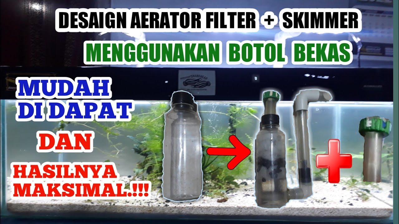 Cara membuat aerator filter dengan skimmer permukaan DIY | Dari botol ...