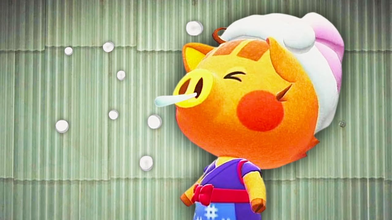 If Daisy Mae Is Sick... - YouTube