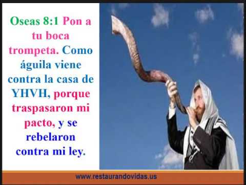 Oseas Capitulo 8 - YouTube