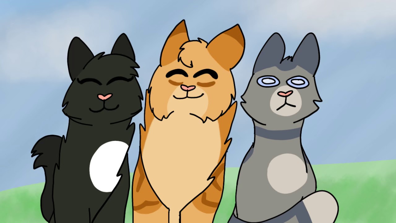 Congratulations Nightcloud and Crowfeather MAP part 4+5 - YouTube