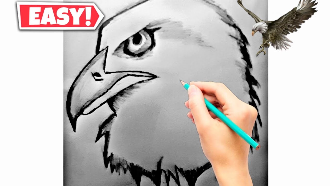 Eagle Drawing | Easy Eagle Pencil Shading | pencil shadings | # ...