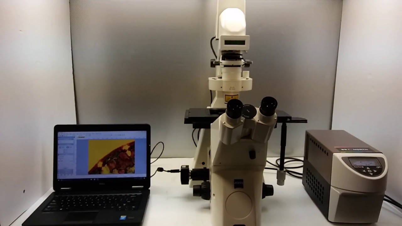 Zeiss Axiovert 200 M Inverted Motorized Microscope - 11879 - YouTube