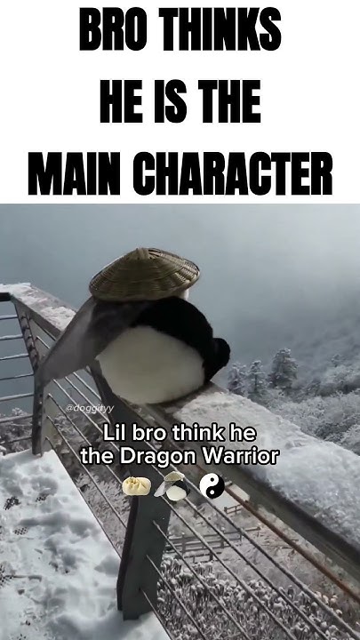 Bro Thinks He Is The Main Character Shorts Memes Funny Funnymemes Maincharacter