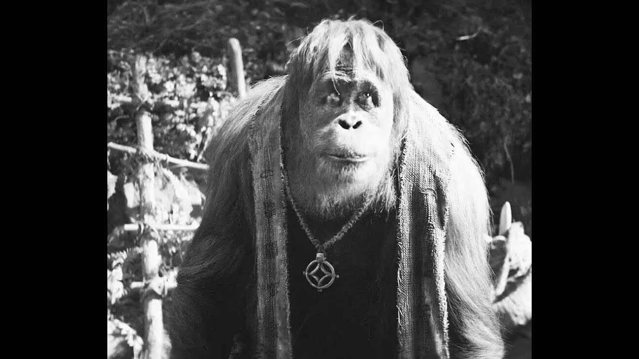 Friends Clips vol 1 - YouTube