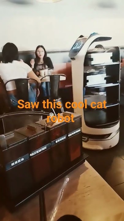 saw this cool cat robot - YouTube