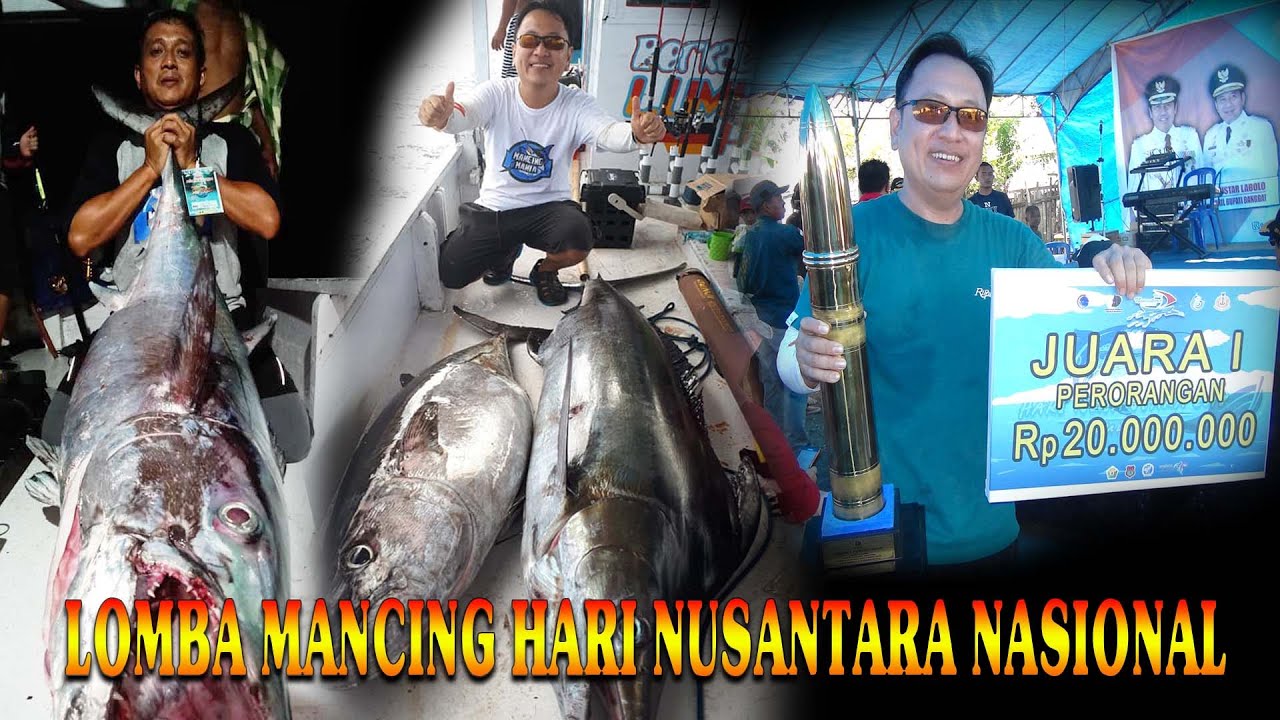 JUARA 1 LOMBA MANCING NASIONAL | TOUNA FISHING CLUB - YouTube