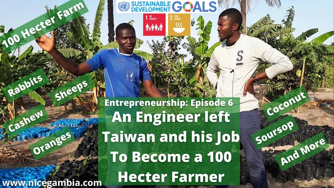 I left Taiwan & my job to start a 100-hectare farm in Gambia | Youths ...