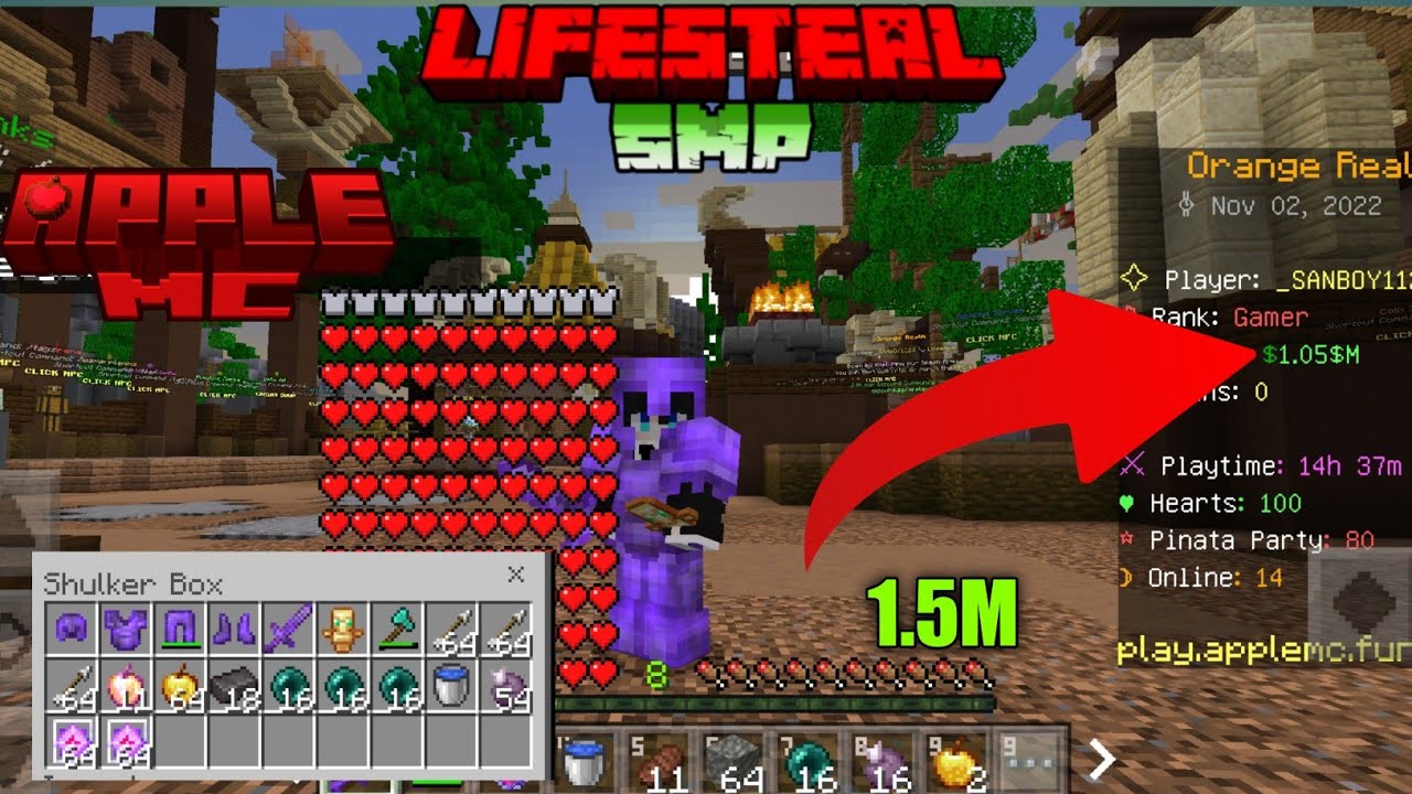 HOW I BECOME A MILLIONAIRE IN "APPLE MC" - It's The BEST Lifesteal Smp ...