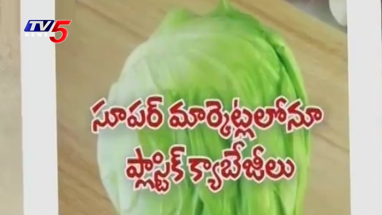 Fake Plastic Cabbage Making | నిజామా కాదా ? | Nijam | TV5 News - YouTube