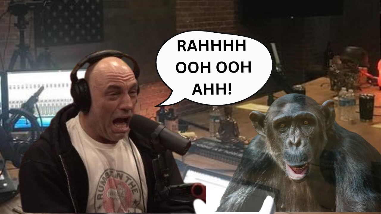 Joe Rogan Talks MONKEYS, BEARS, AND BIRDS - YouTube