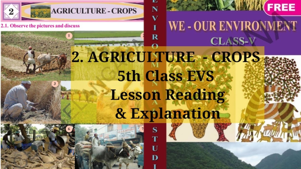5th Class EVS || Agriculture Crops part1 || వ్యవసాయం పంటలు ...