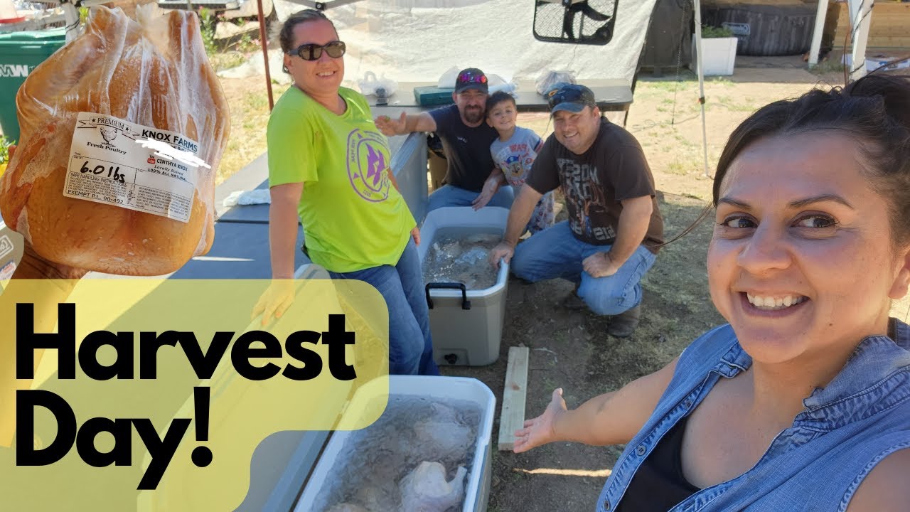 CHICKEN PROCESSING DAY! (OUR FIRST TIME) - YouTube