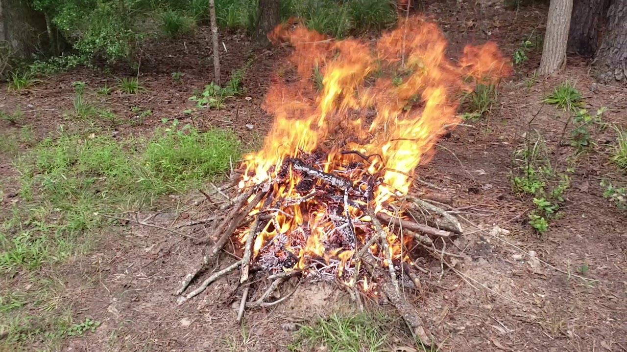 Burning Stuff 808: Hungry Campfire - YouTube