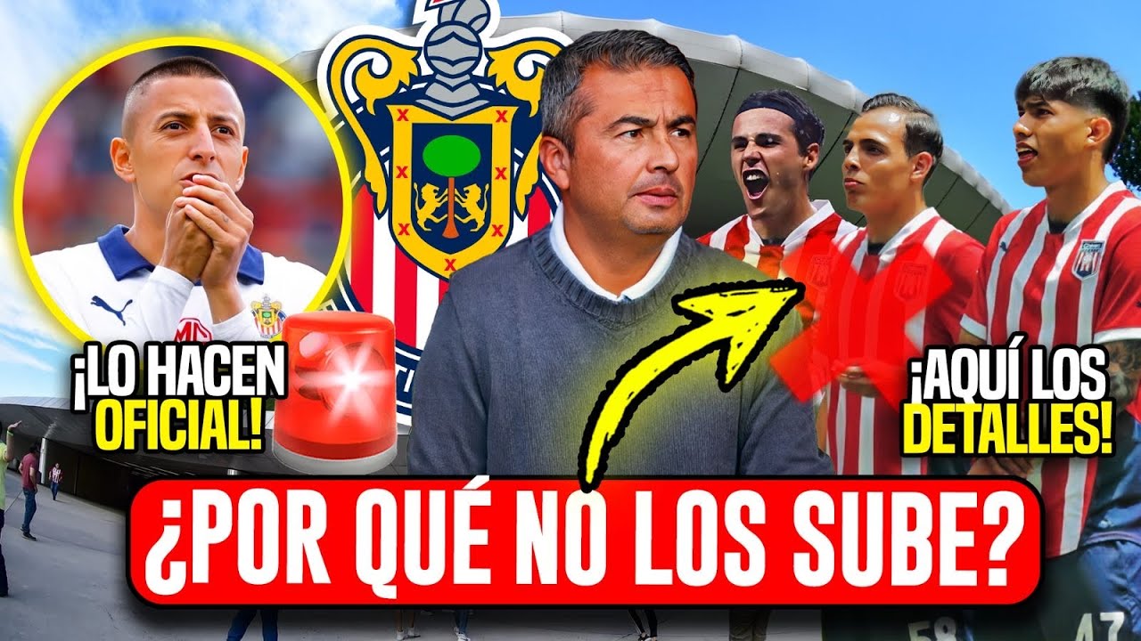🚨Noticias Chivas ¿El Por Que Ortega no lleva Wilke, Camberos y Gael Garcia? ¡Reporte OFICIAL ...