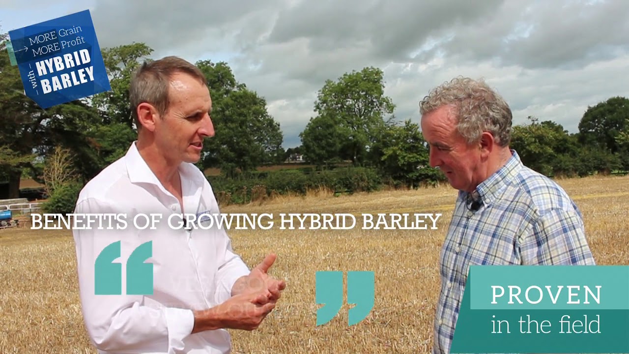 Jimmy Purcell: Hybrid Barley Grower of The Year Competition Winner ...