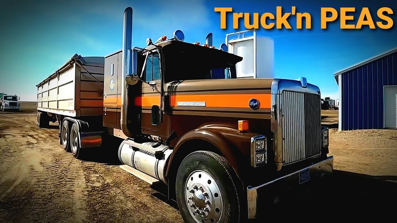 We're FINALLY moving PEAS!｜Time to wake the IH 9370 EAGLE 🦅 - YouTube