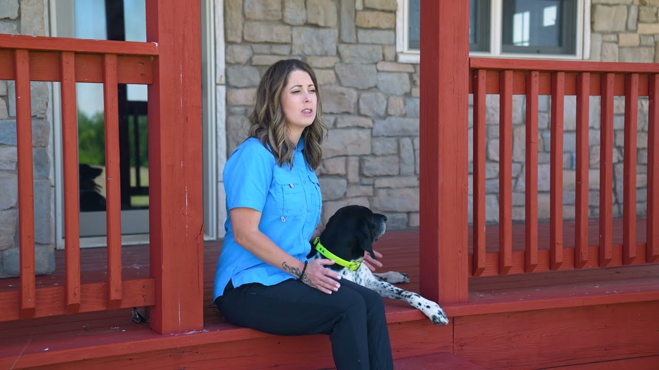 How to keep your Dog in TOP shape - Off Season Conditioning and ...