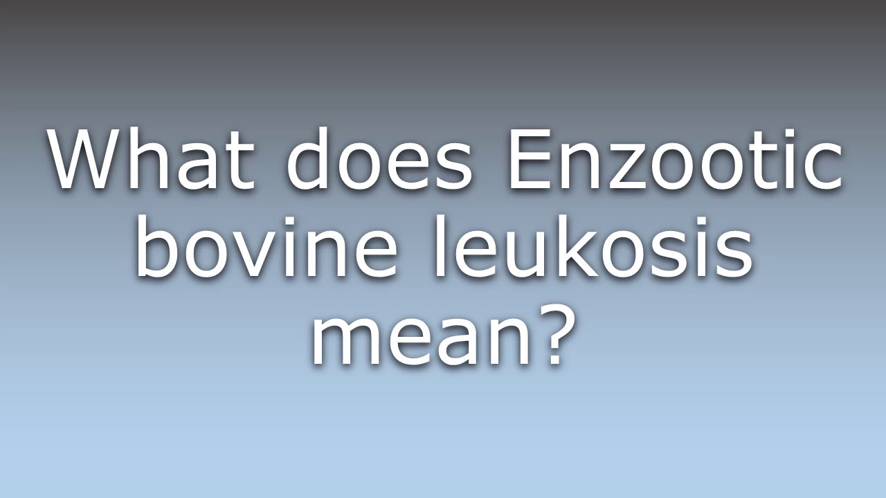 What does Enzootic bovine leukosis mean? - YouTube