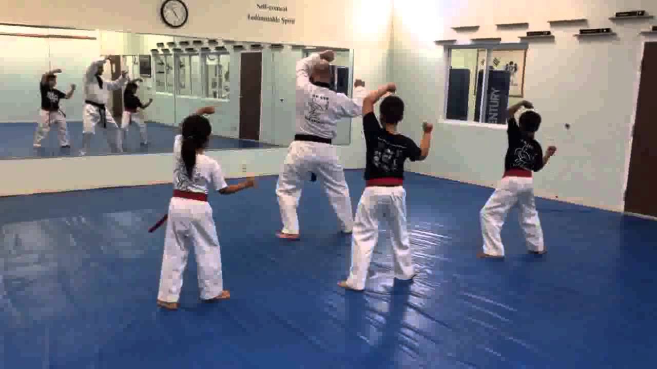 Red Belts learning a new form - YouTube