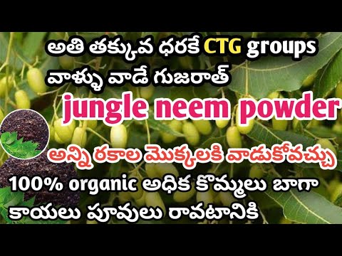 first time మీకోసం అడివి వేపకాయల పొడి అతి తక్కువ ధరకే /low price jungle ...
