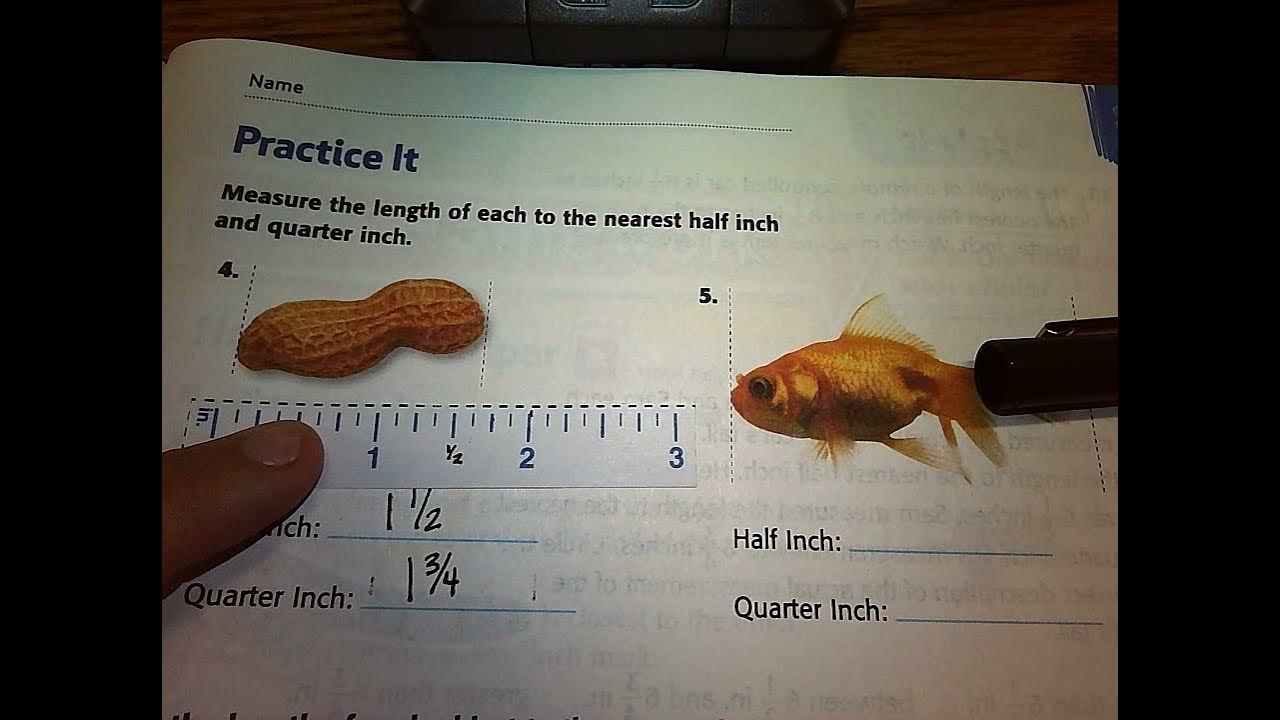 MyMath Chapter 11 Lesson 1 - YouTube