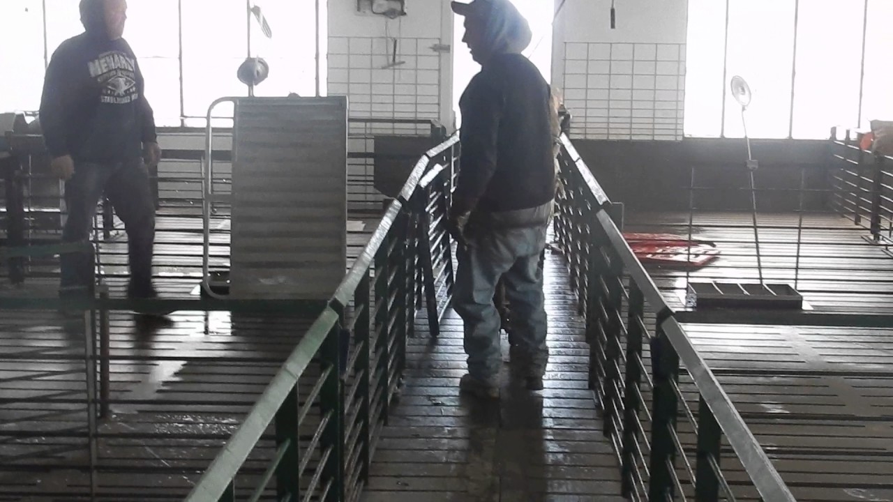 Carcass Cart -- Utility Cart Uses Volume 1 - YouTube