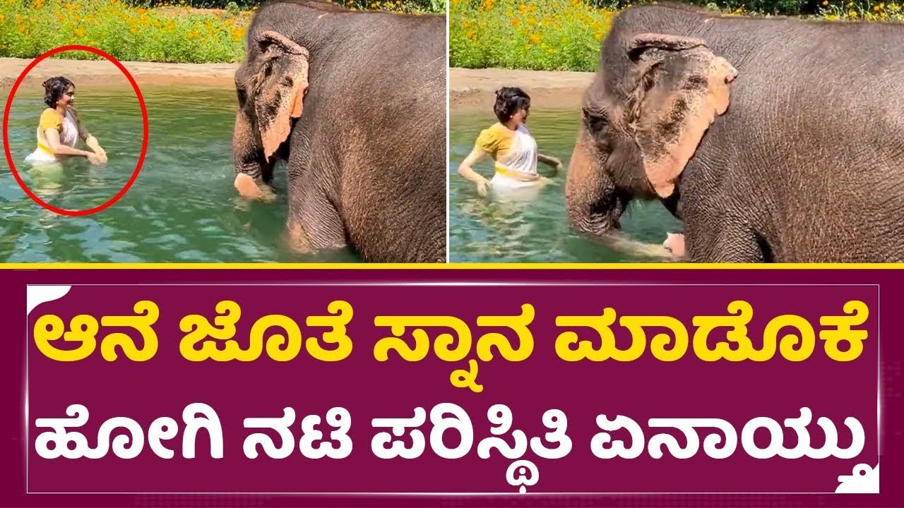 ಪುನೀತ್ ಮೂವೀ ನಟಿ ಆನೆ ಜೊತೆ ಸ್ನಾನ ಮಾಡ್ತೀಕೆ ಹೋಗಿ ಏನಾಯ್ತು|Puneeth rajkumar ...