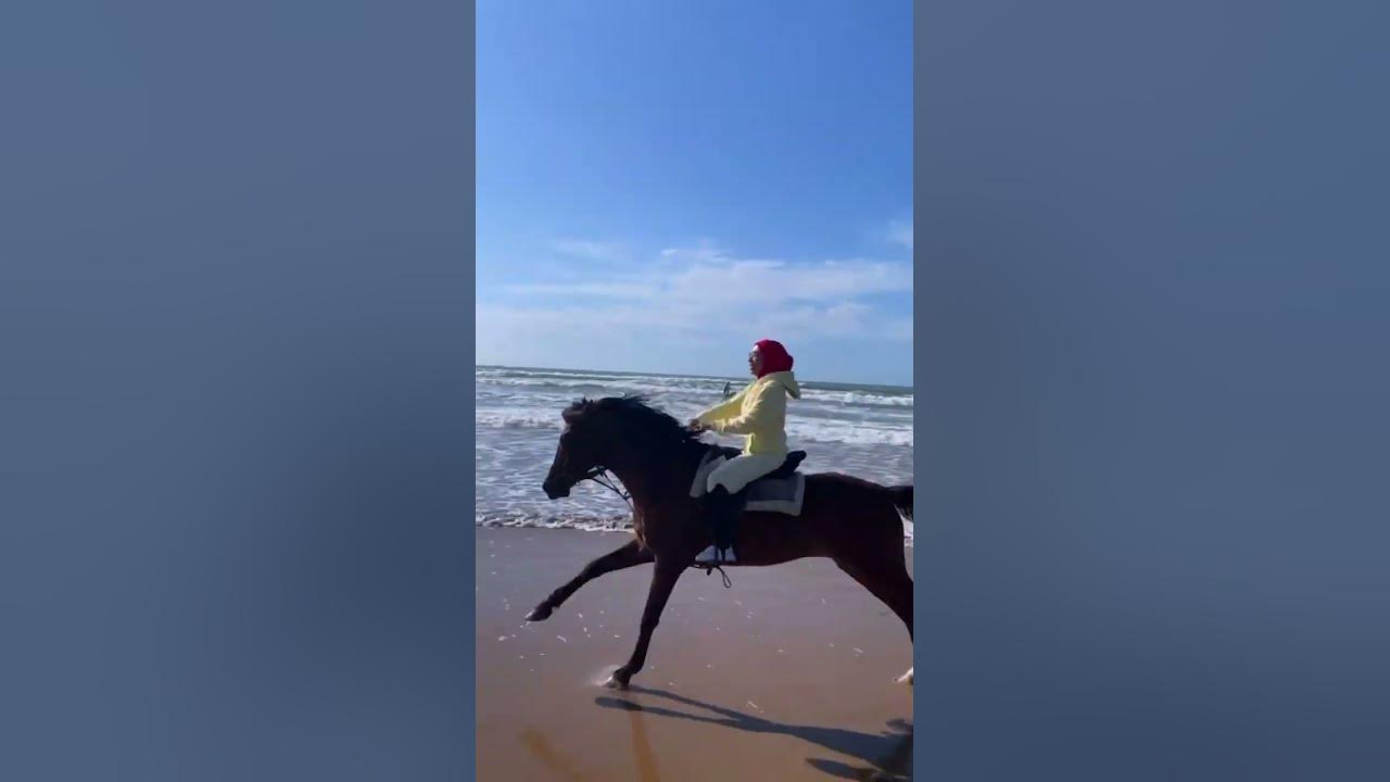 Horse Lover | Horse Riding | Horse Race Video #horse #horselove #horses ...