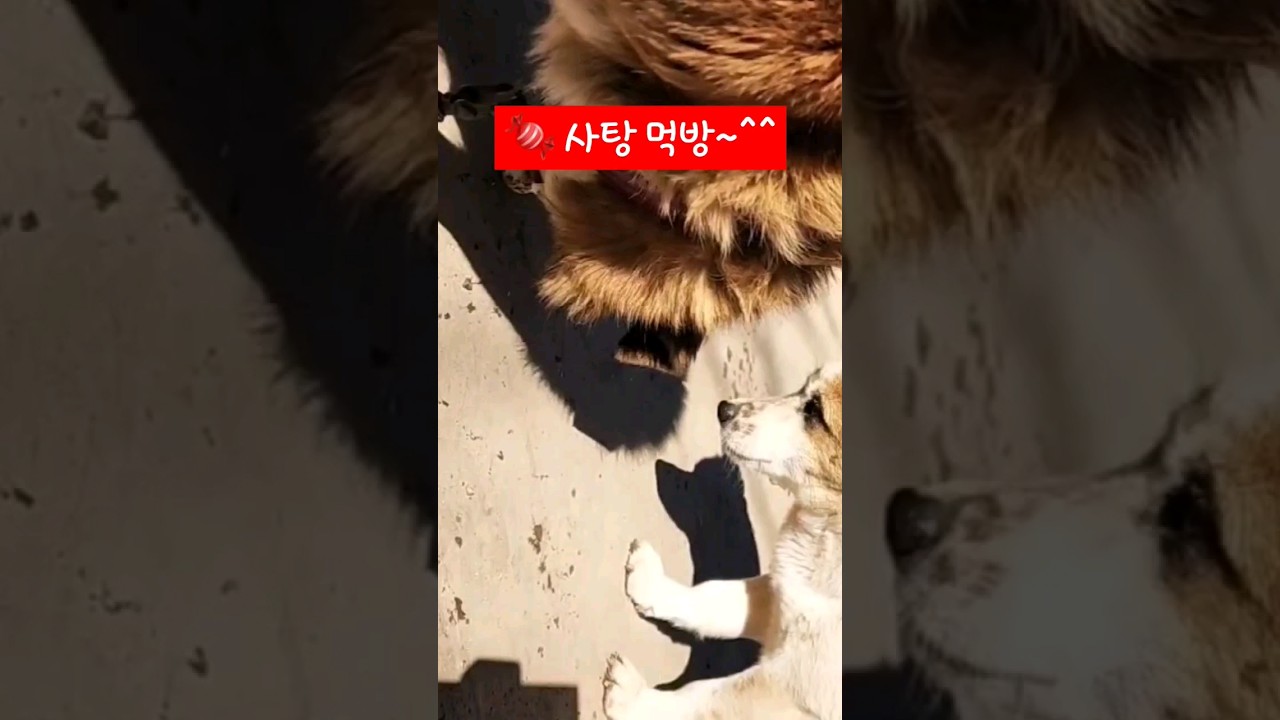 ๐ฌ ์ฌํ ๋จน๋ฐฉ~ Youtube