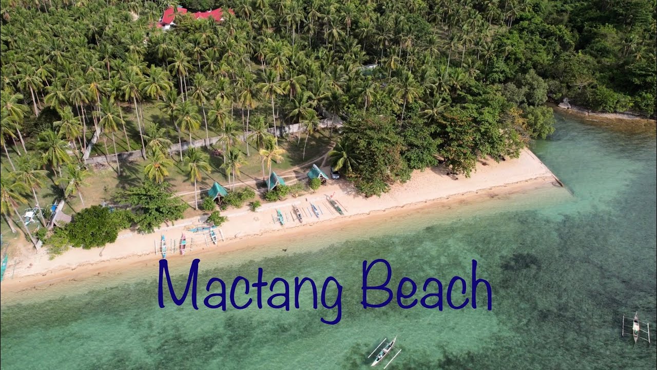 Mactang Beach & Flying fish Resort in PORO Island Camotes Cebu - YouTube