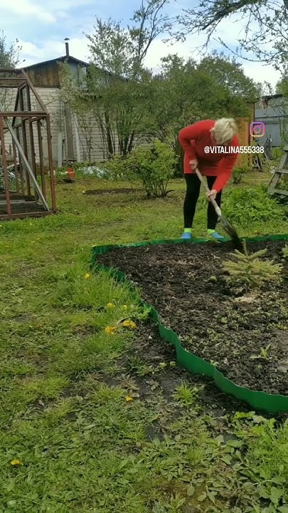 Доброе утро С утра гуляю Так наверное все на участках гуляют Youtube