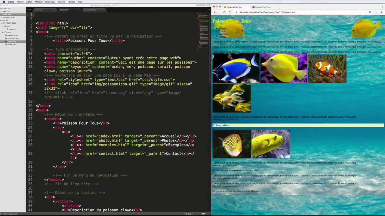 Leçon N° 12 Border En Css Apprendre Html5 Css3 Youtube
