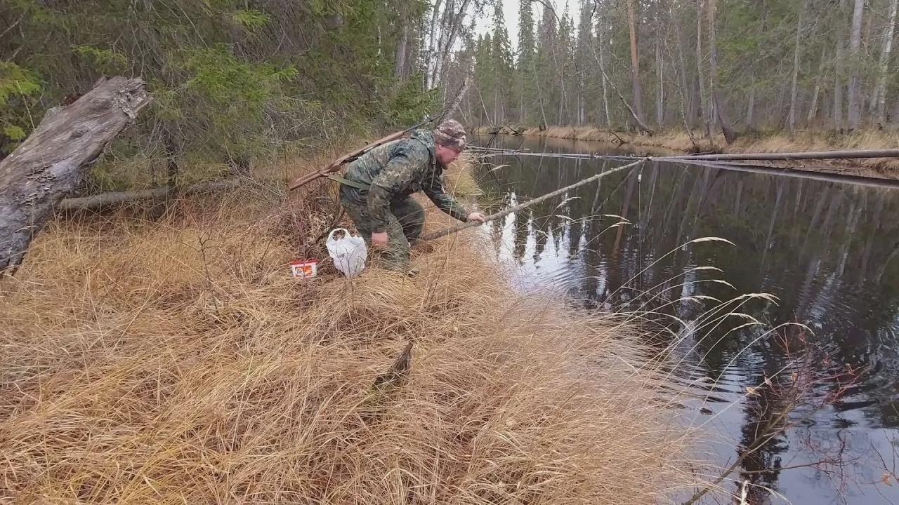 Living in the Taiga: Hunting for Meat & Setting Fishing Lines by the ...