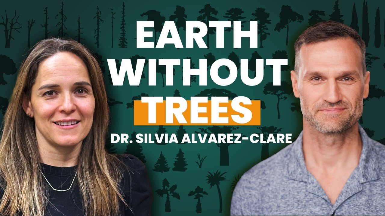 What Happens to EARTH Without TREES? @primalbiology - YouTube